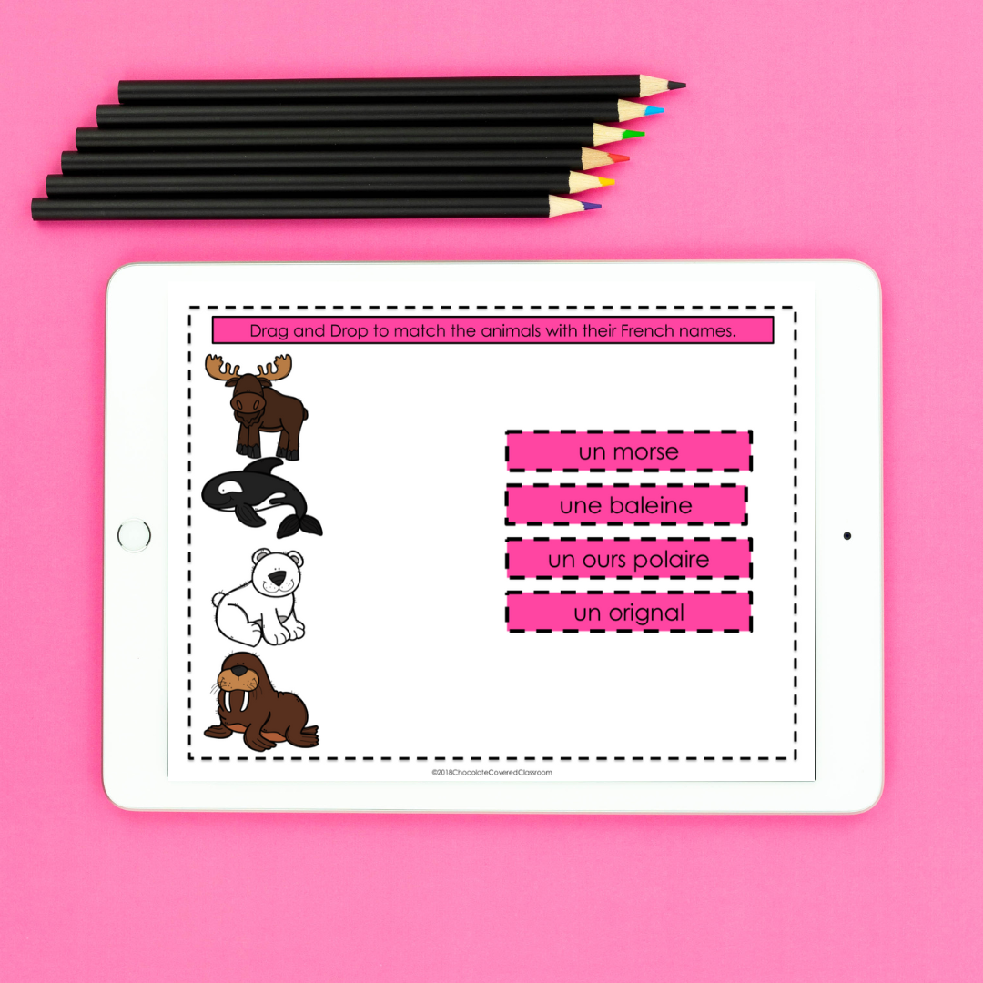 8 Easy Steps for Teaching French Animals in the French as a Second ...