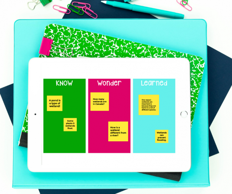 The Ultimate Guide to Teaching Wetland Ecosystems - Chocolate Covered ...