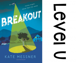 The 11 Best Realistic Fiction Book Club Books at Each Guided Reading ...