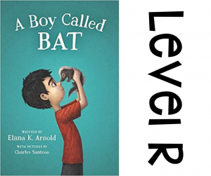 The 11 Best Realistic Fiction Book Club Books at Each Guided Reading ...